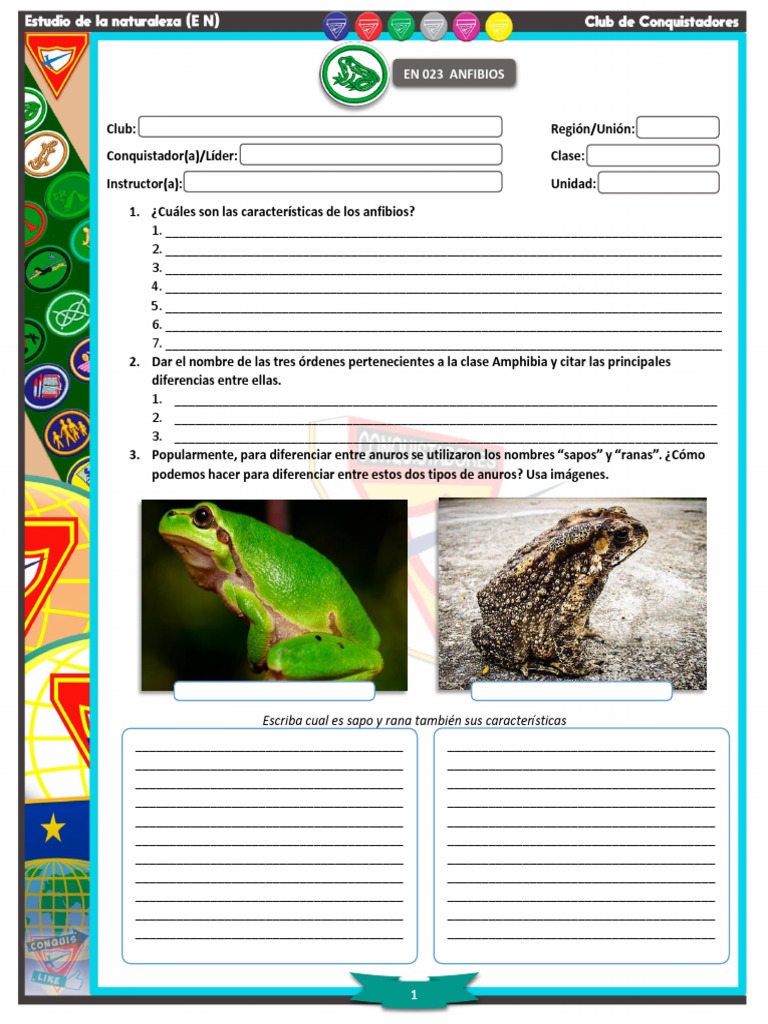 EN 023 Anfibios | PDF | Rana | Anfibio