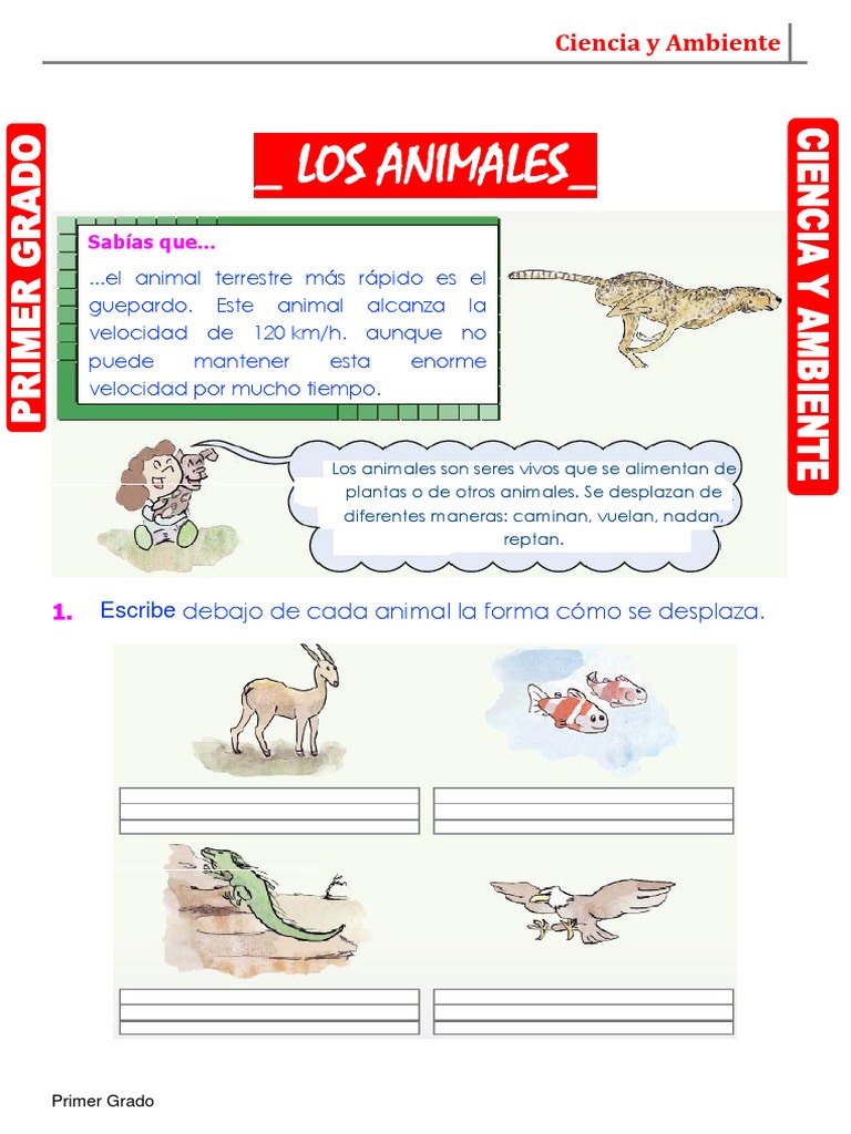Los Animales para Primer Grado de Primaria | PDF
