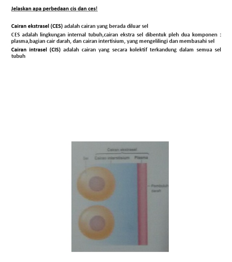 Perbedaan Cis Dan Ces | PDF