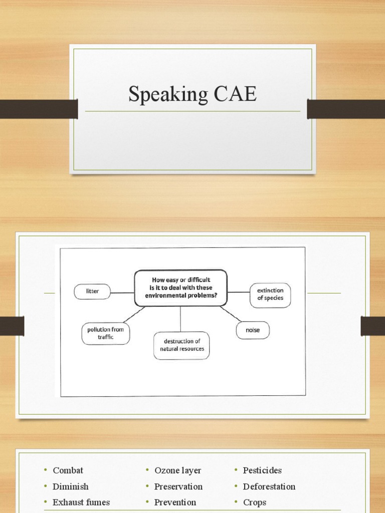 Speaking CAE Environment | PDF