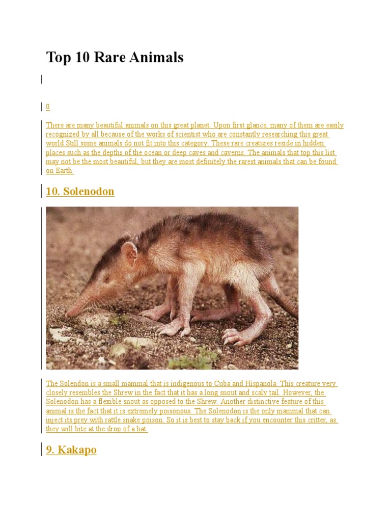 Top 10 Rare Animals | PDF | Home & Garden