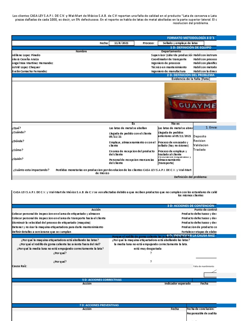 Formato 8D | PDF | Logística | Economias