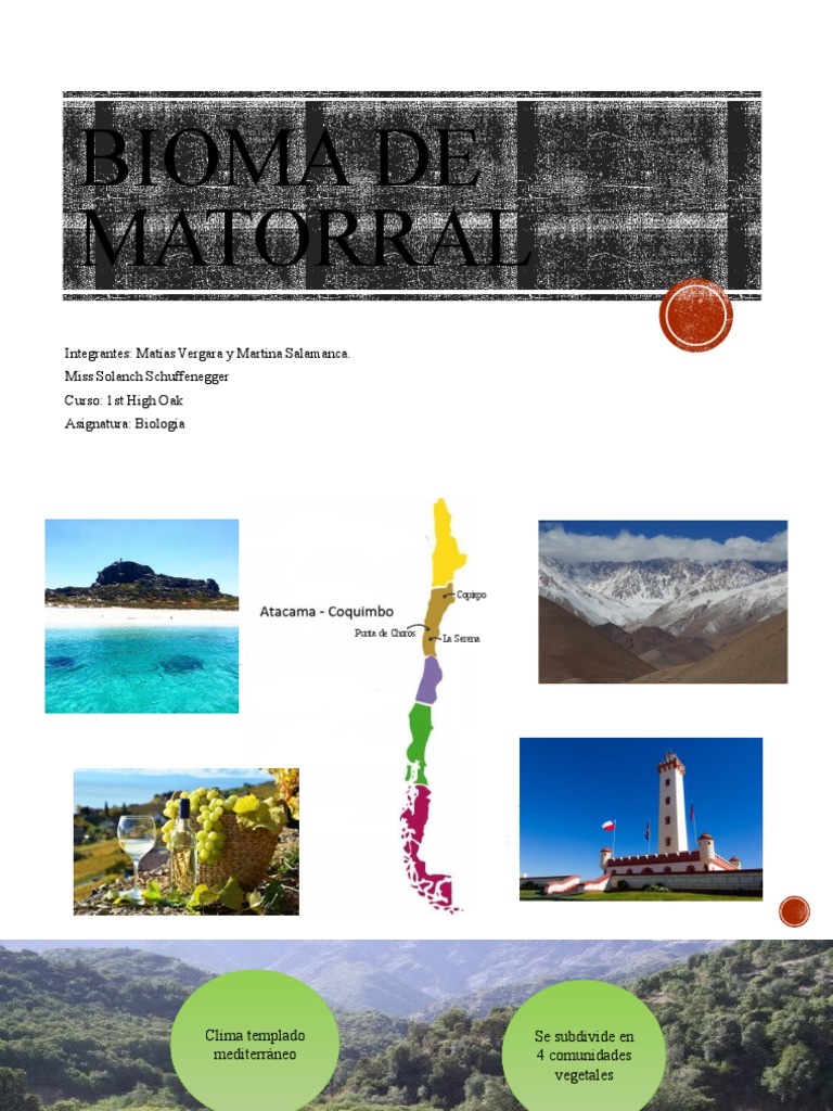 Bioma de Matorral: Características y Flora | PDF