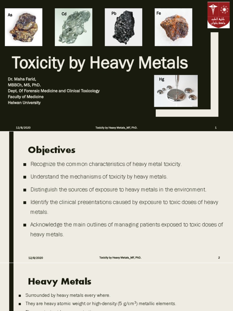 Toxicity by Heavy Metals-Edited | PDF | Mercury (Element) | Toxic Heavy ...