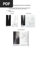 Anatomi Dan Faktor Eksposi Pada Pemeriksaan Radiologi Os Pedis | PDF ...