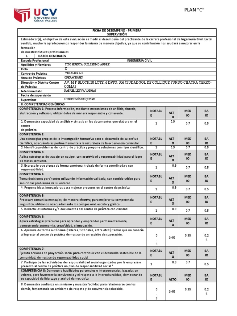 Ficha de Desempeño - Primera Supervision Civil | PDF | Creatividad
