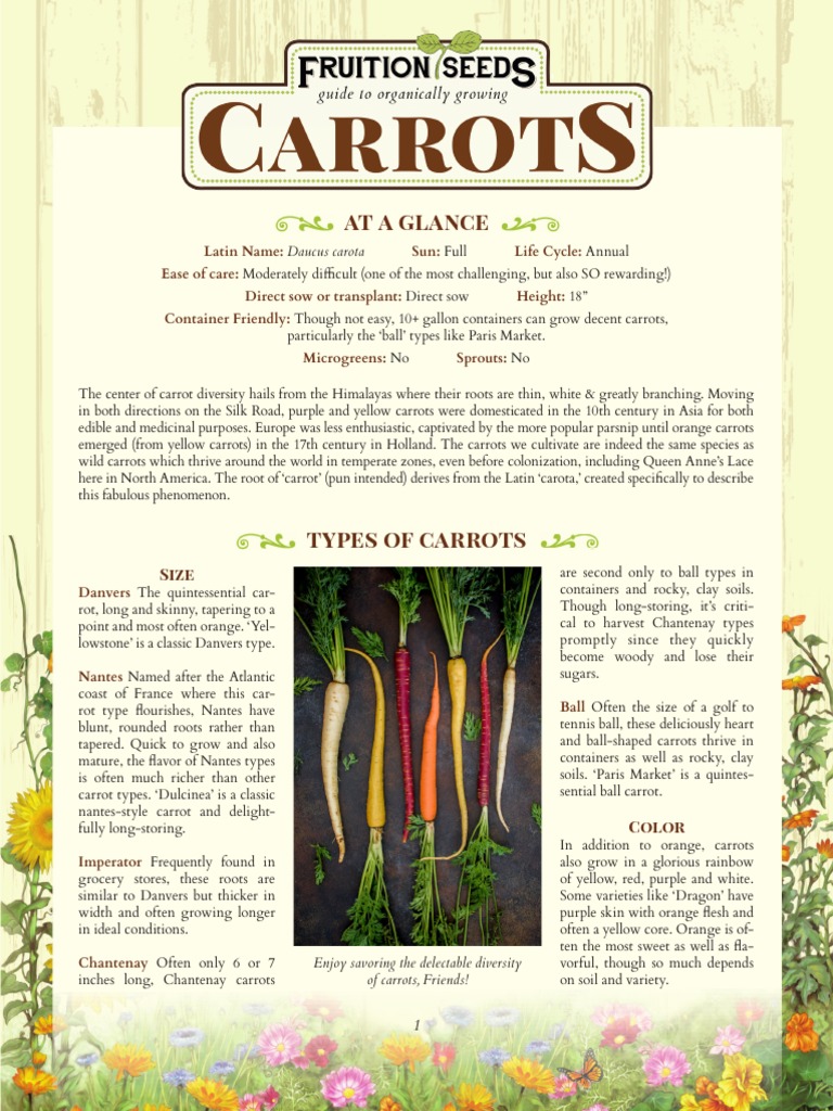 At A Glance | PDF | Carrot | Sowing