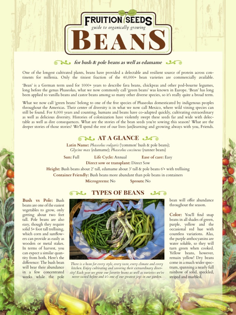 Growing Guide Beans | Download Free PDF | Phaseolus Vulgaris | Green Bean