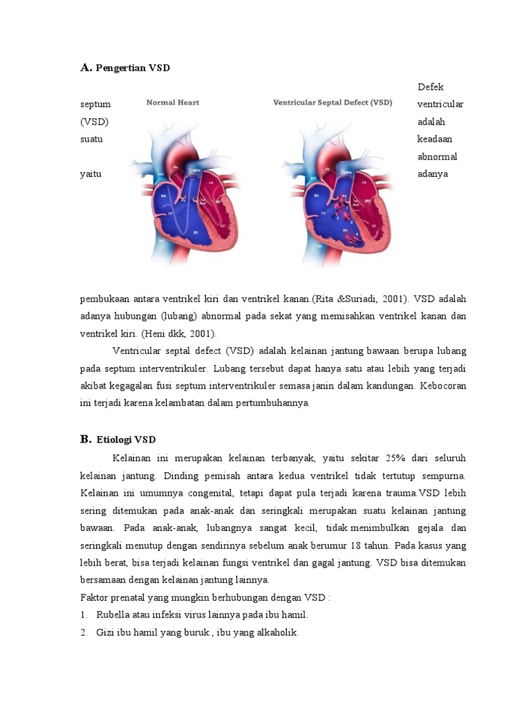 Pengertian dan Klasifikasi VSD | PDF