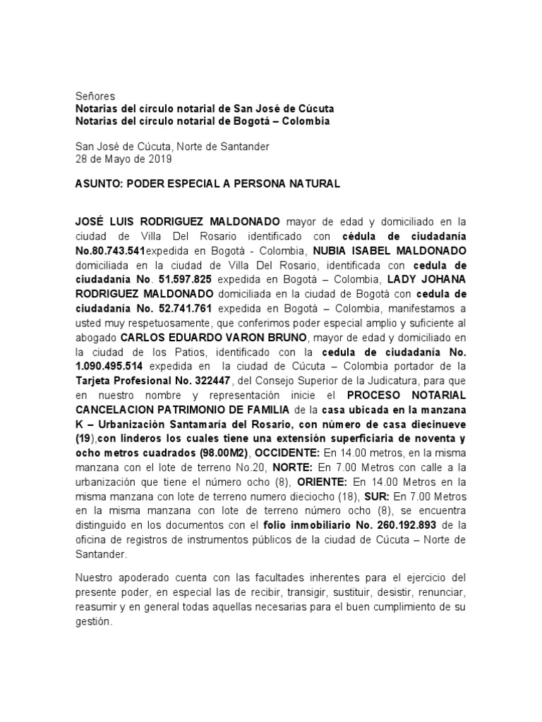 Modelo de Poder Especial - Persona Natural | PDF | Bogotá | Colombia