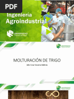 Diagrama de Flujo de La Elaboracion de Harina de Trigo | PDF | Trigo