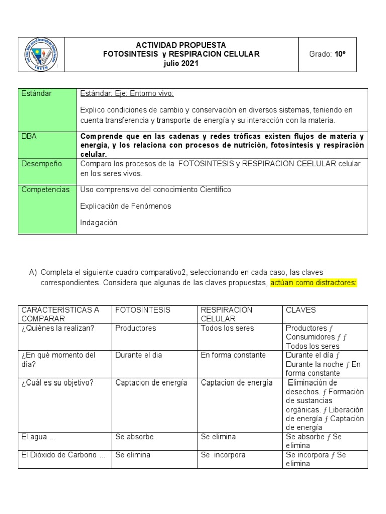 Biologia Fotosintesis y Respiracion Celular | PDF | Fotosíntesis | Plantas