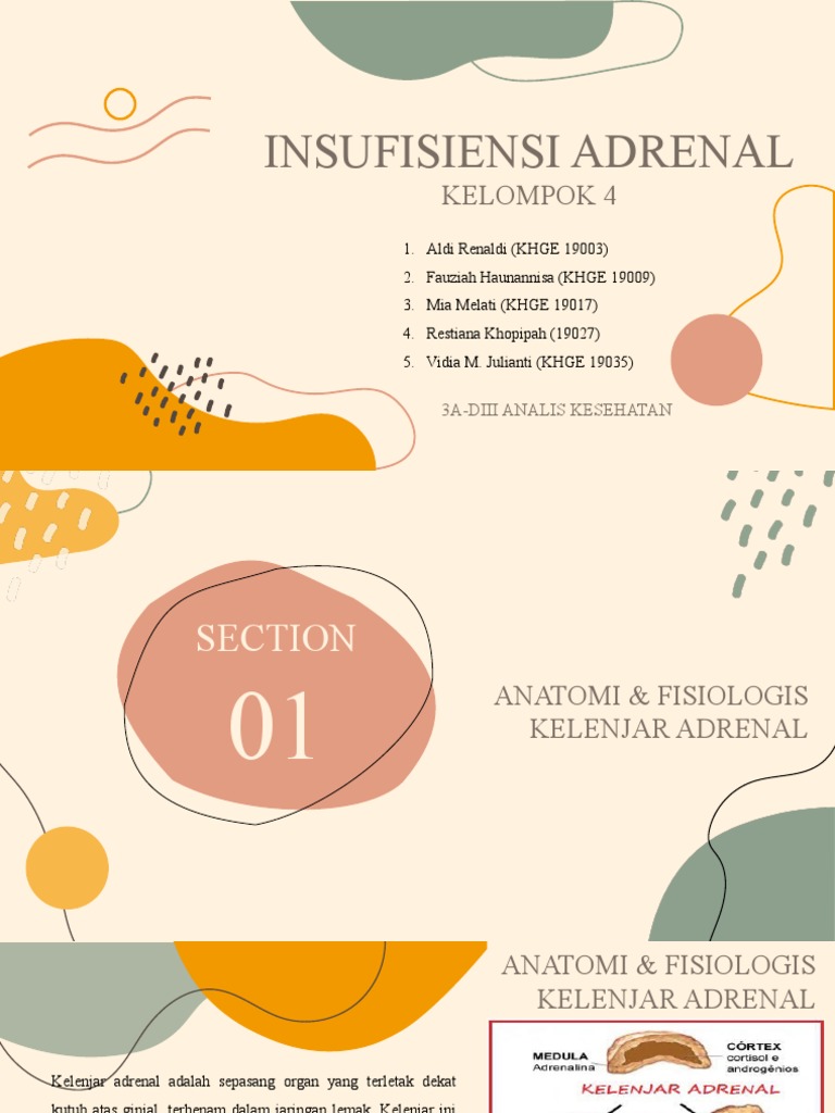INSUFISIENSI ADRENAL-3A-KELOMPOK 4 New | PDF
