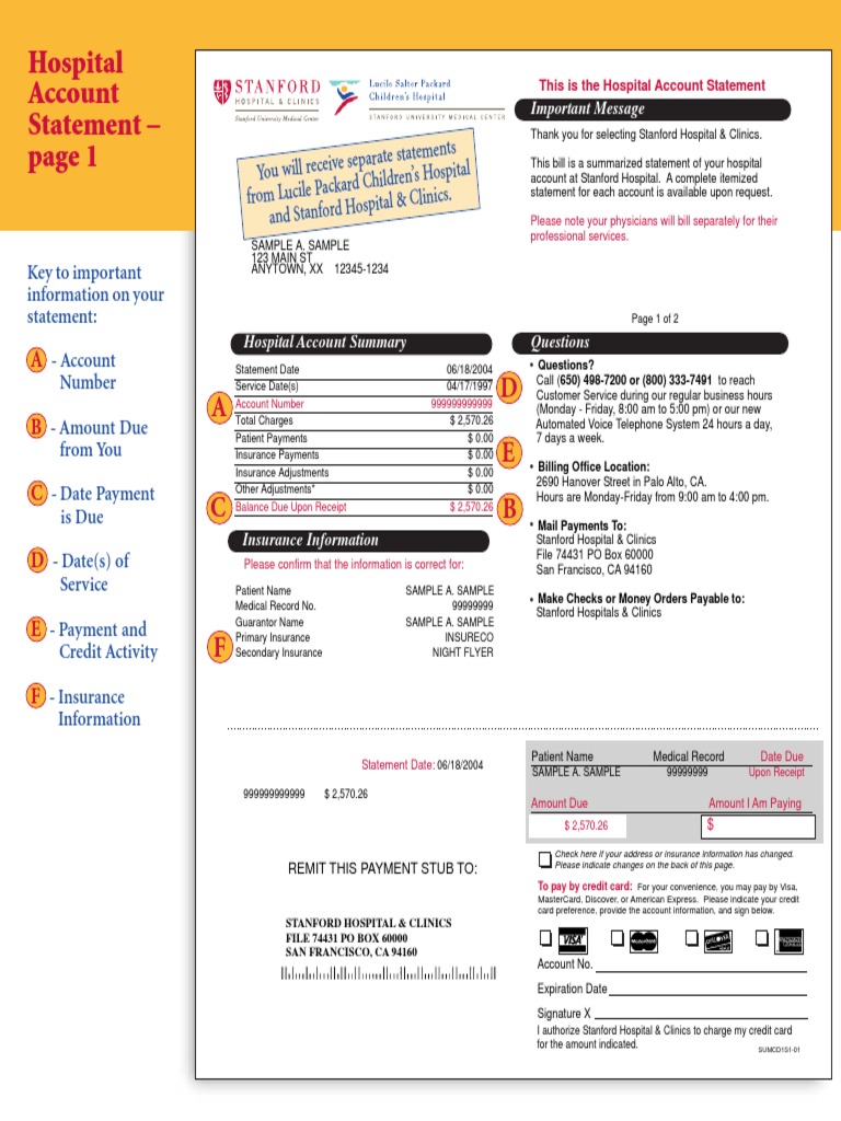Hospital Account Statement | PDF | Credit Card | Money Order
