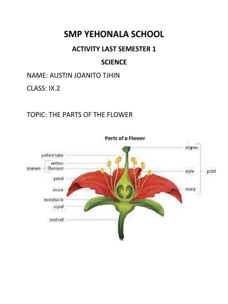 parts-of-the-flower-pdf-flowers-botany