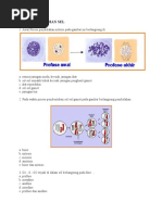 Latihan Soal Pembelahan Sel | PDF