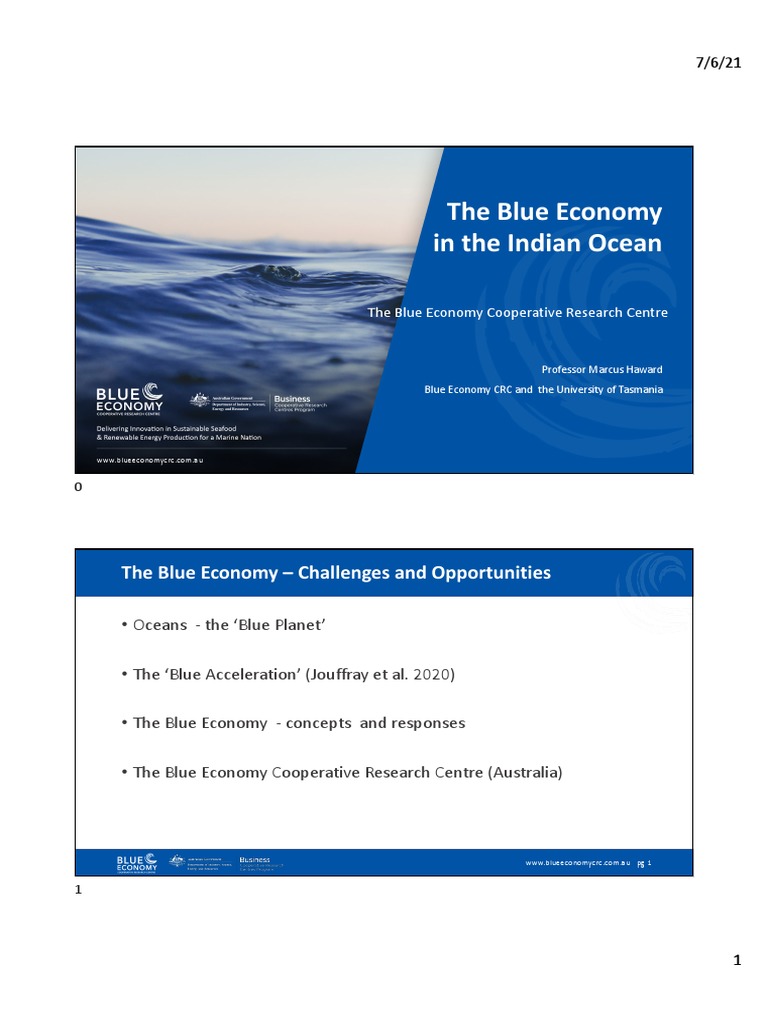 1 July 2021 - Workshop 4 - Presentation Slides - Prof Marcus Haward ...
