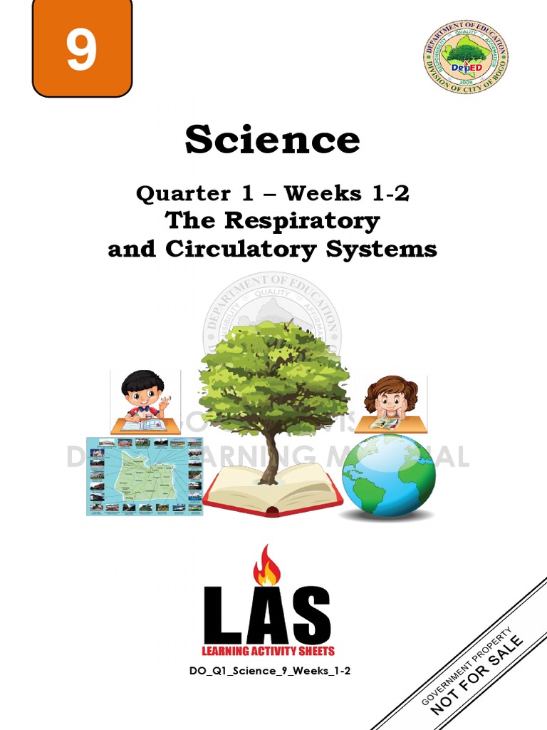 SCIENCE 9 Q1 WK1 2 The Respiratory and Circulatory Systems | PDF | Respiratory Tract | Lung