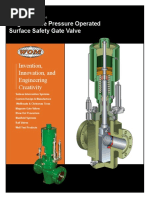 Oliver DBB Valves | PDF | Valve | Pipe (Fluid Conveyance)