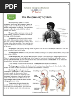 Respiratory System - The Dr. Binocs Show - Learn Videos For Kids | PDF