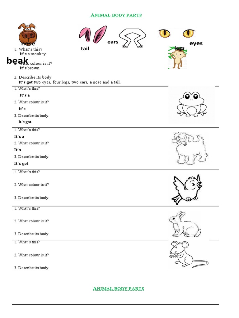 Animal Body Parts Description | PDF | Foreign Language Studies