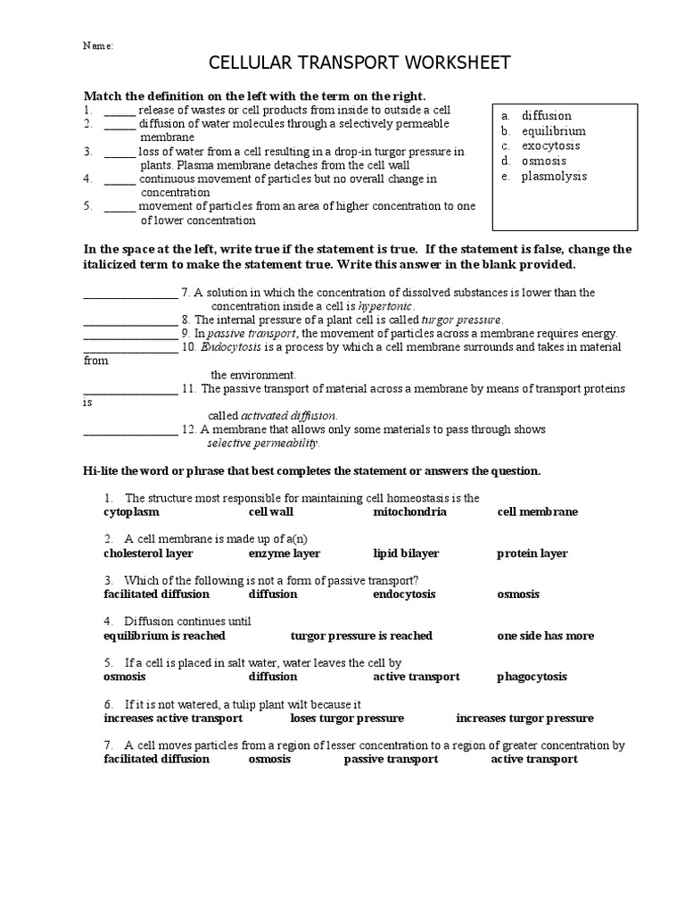 Cellular Transport WORKSHEET | PDF | Cell Membrane | Osmosis
