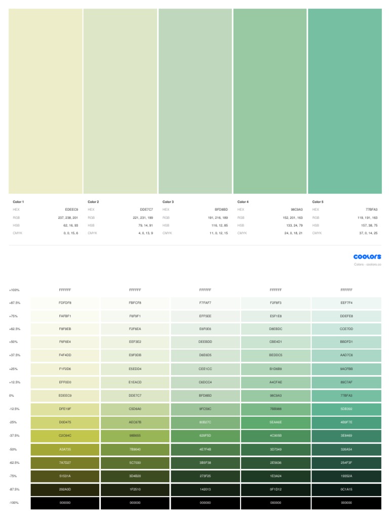 Color Codes and Palettes Overview | PDF | Rgb Color Model ...