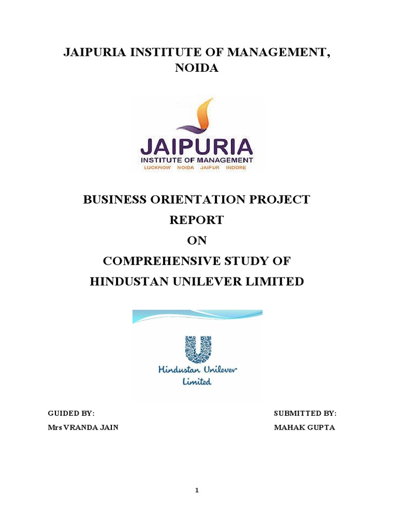 Business Orientation Project | PDF