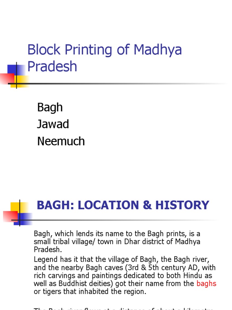 Bagh Prints: Craft and Tradition | PDF