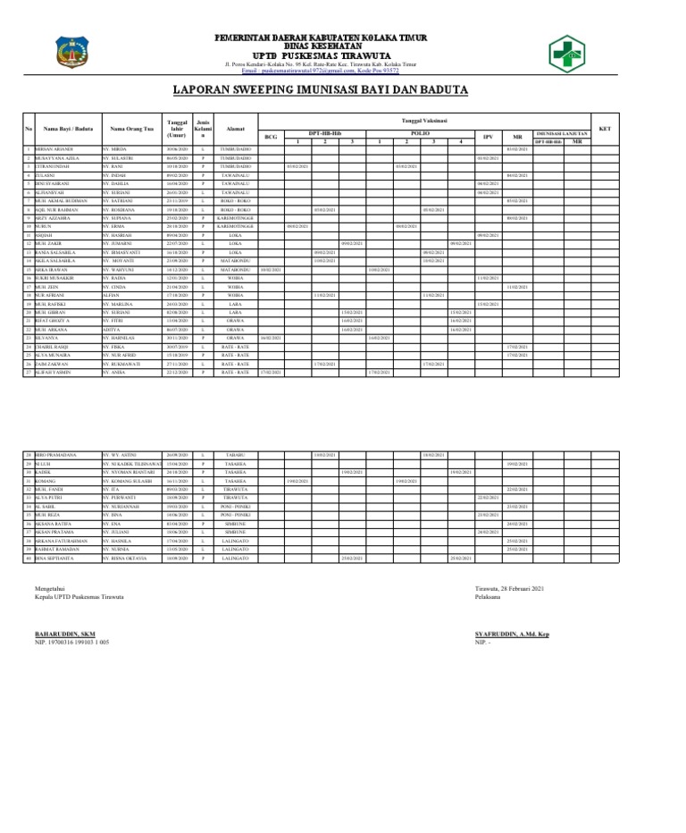 Format Sweeping | PDF