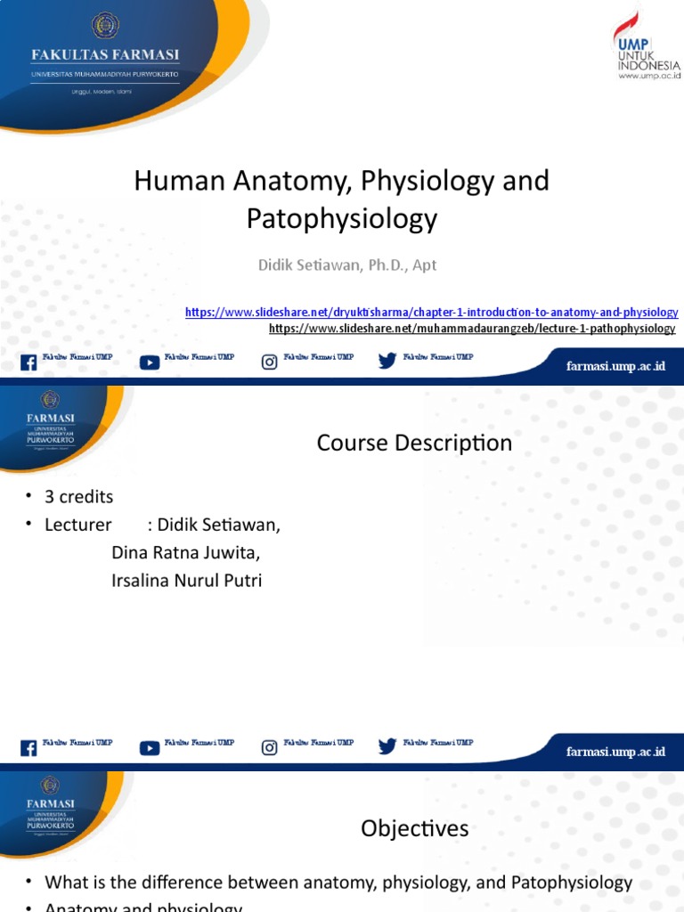 Human Anatomy, Physiology and Patophysiology | PDF | Human Body ...