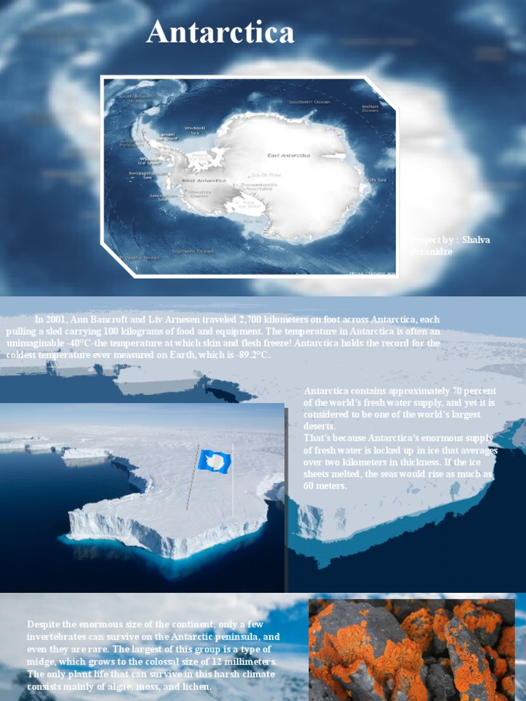 Antarctica: Project By: Shalva Peranidze | PDF | Antarctica | Ice