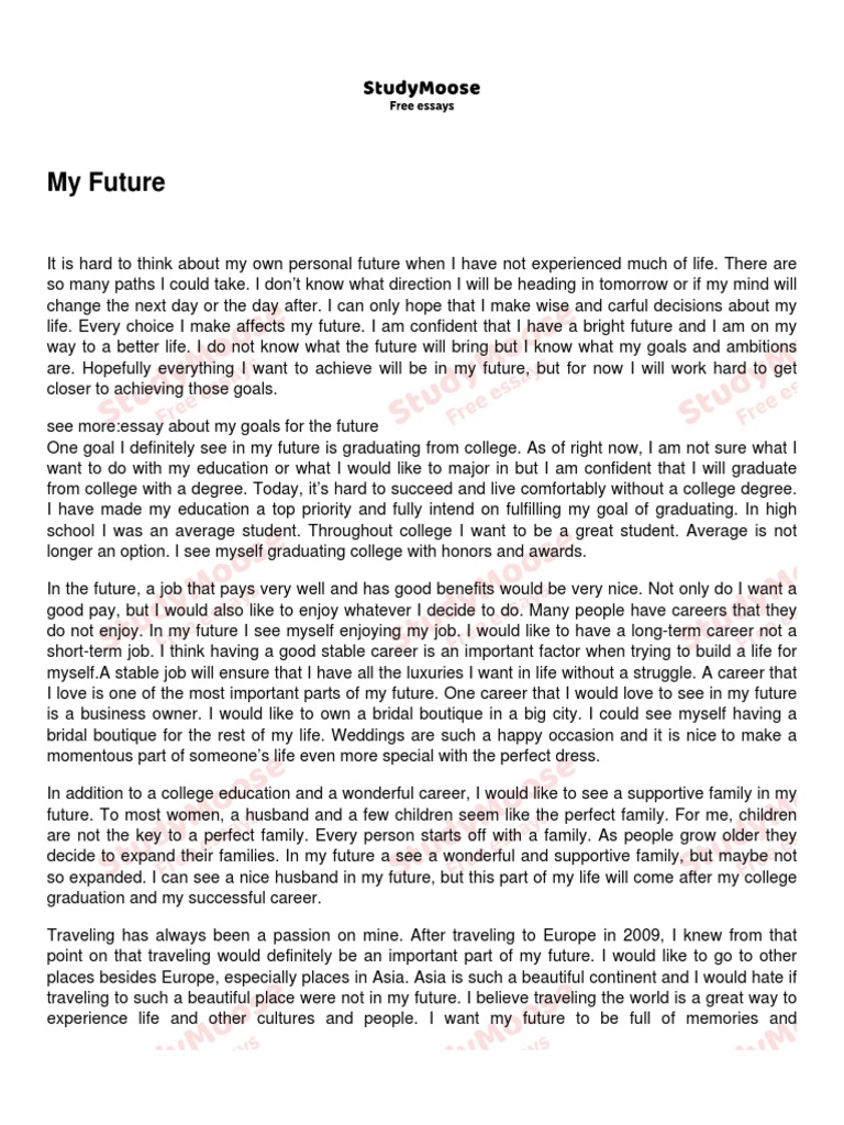 My Goals and Ambitions for the Future | PDF