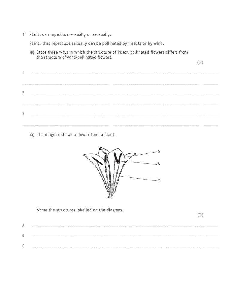 Reproduction in Plants and Animals Worksheet | PDF | Fertilisation ...
