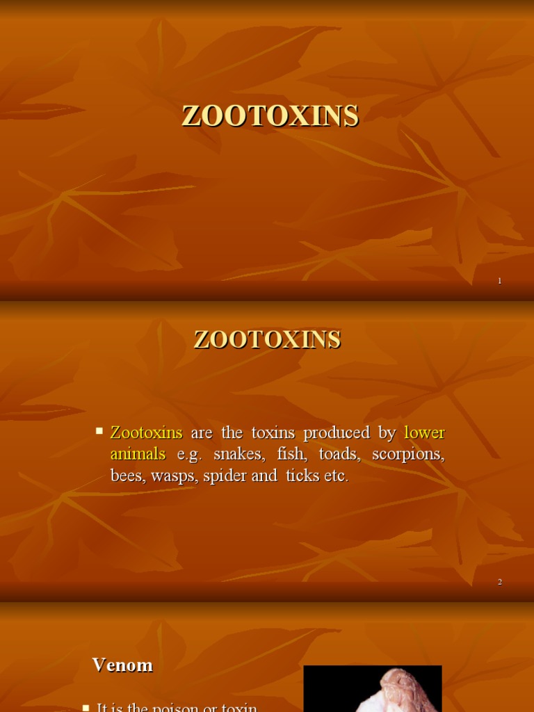 Animal Toxins Zootoxins Snake Venom | PDF | Snake | Venom