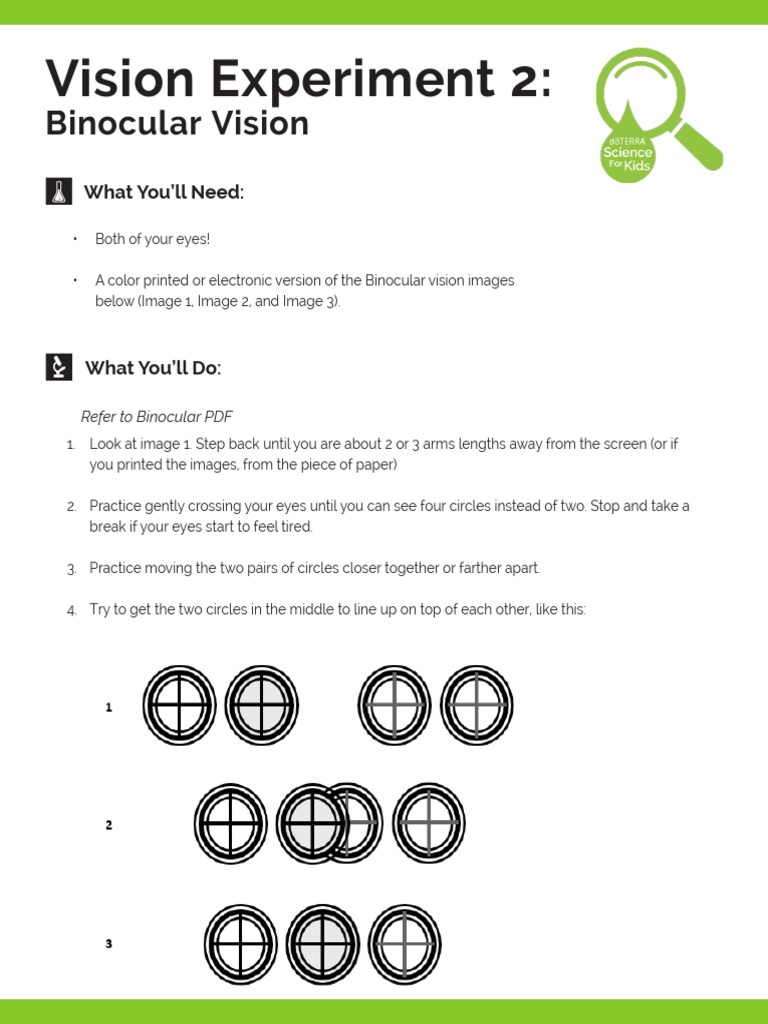 Vision Experiment 2 | PDF | Self-Improvement