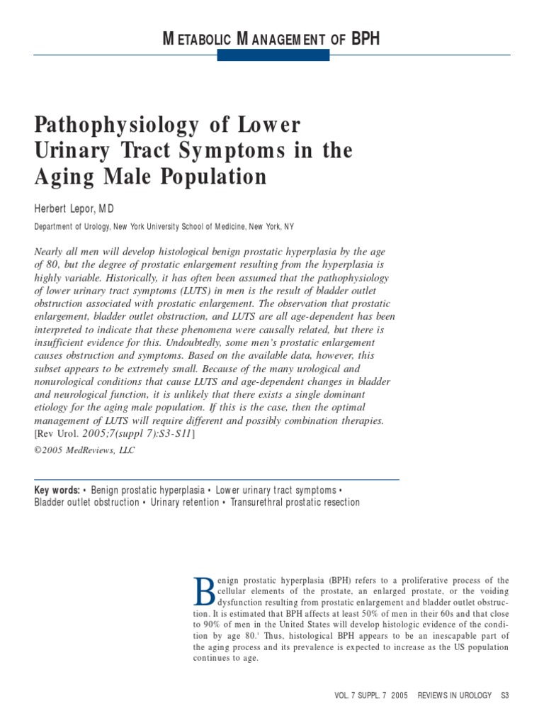 Patofisiologi LUTS BPH | PDF | Prostate | Prostate Cancer