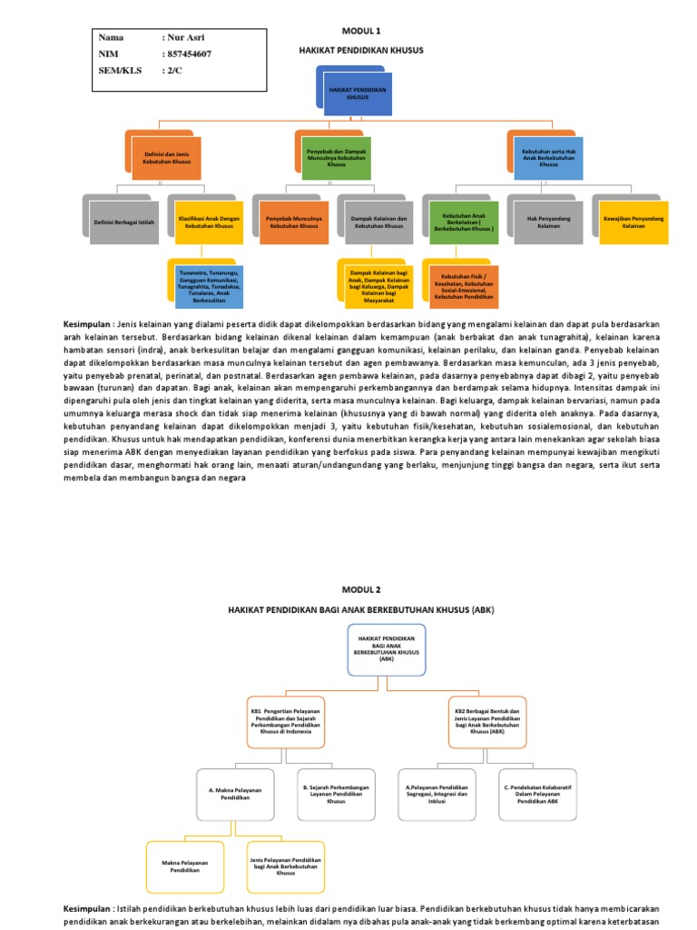 Nur Asri Peta Konsep ABK | PDF