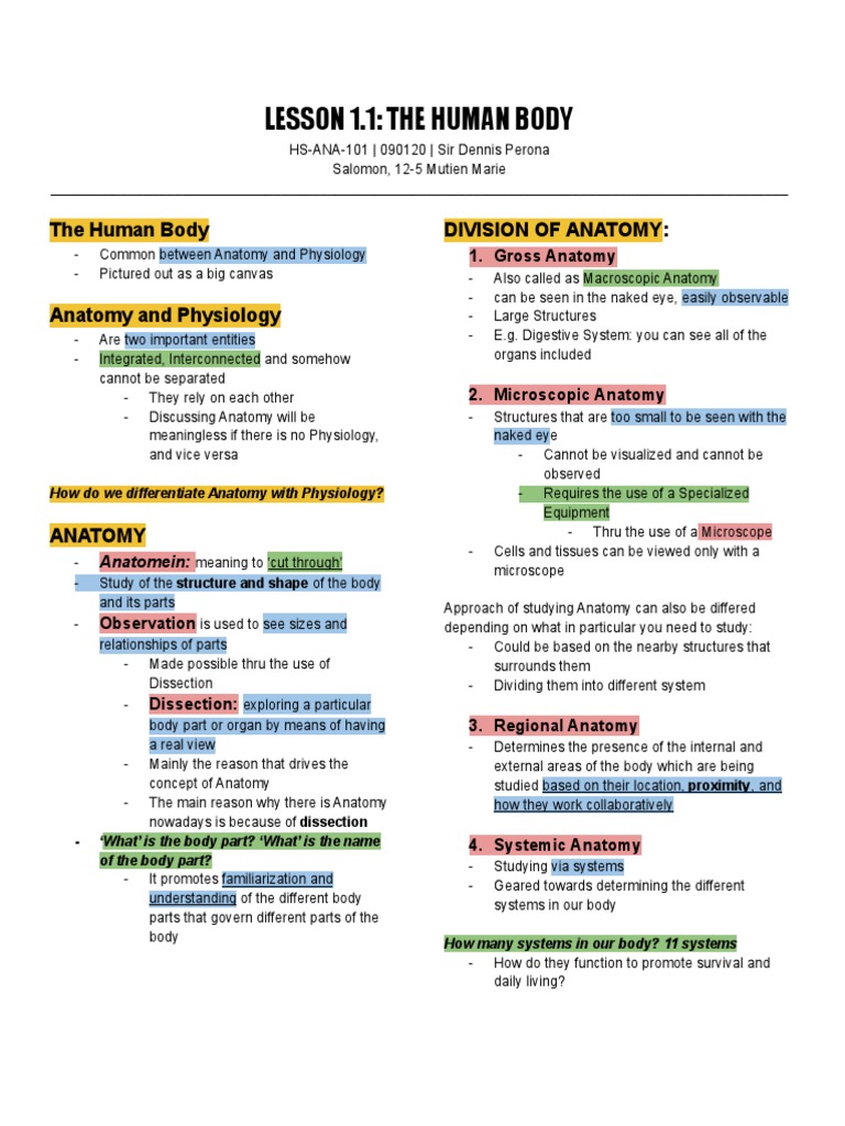 Anatomy: Overview of Human Systems | PDF | Anatomical Terms Of Location ...