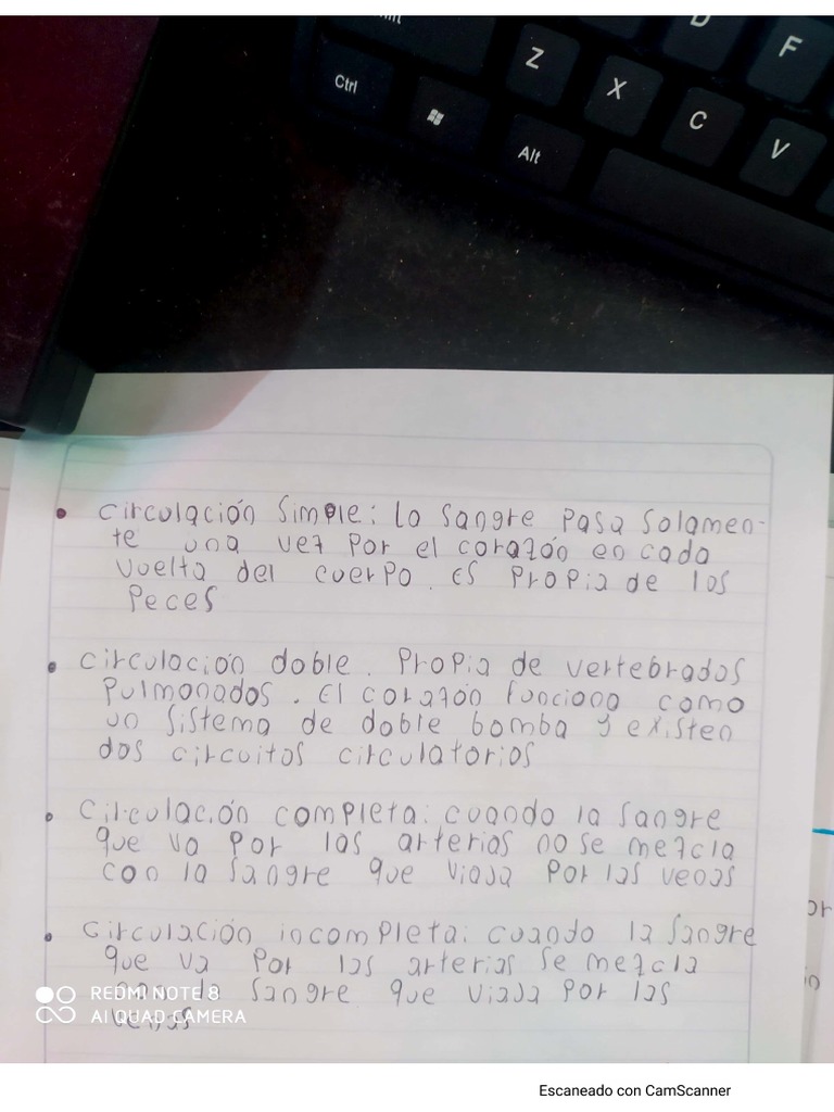 Anatomía, Juan Fernando Rueda, Leonela Villarreal, Juan Manuel Borja ...