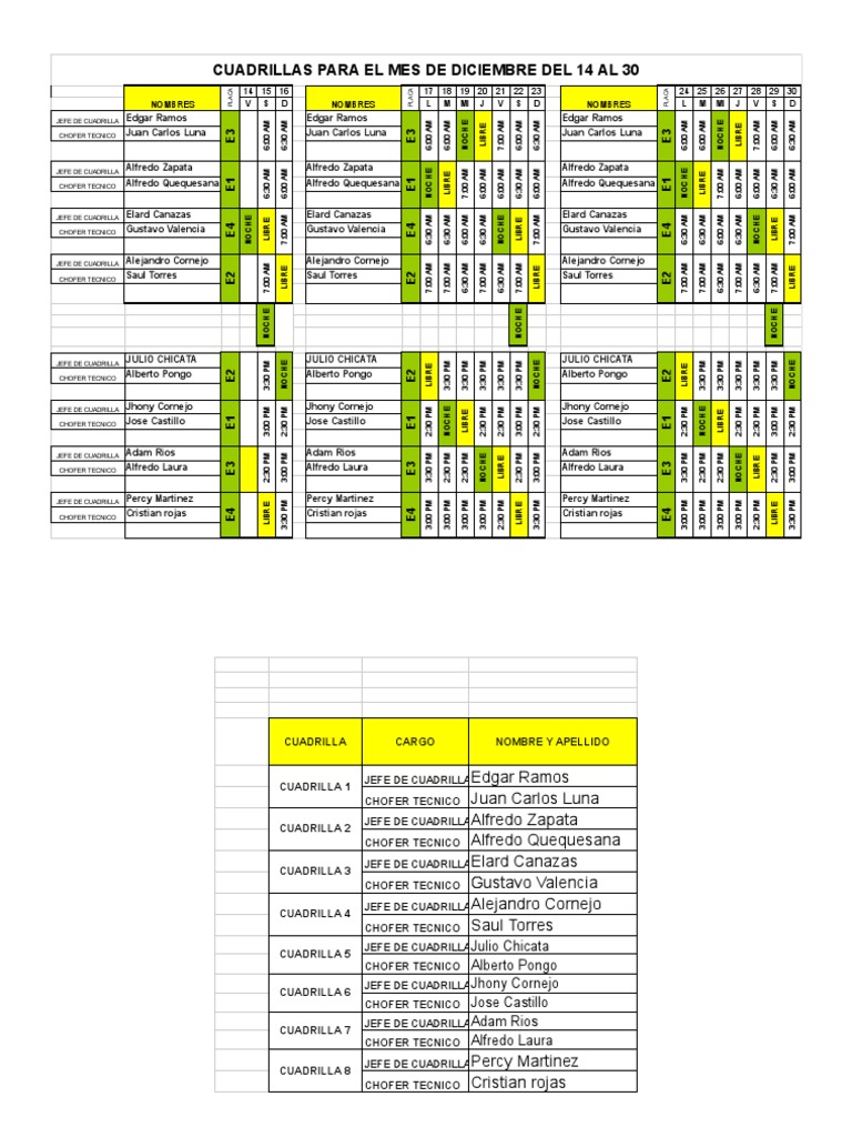 Personal Celicon DICIEMBRE | PDF