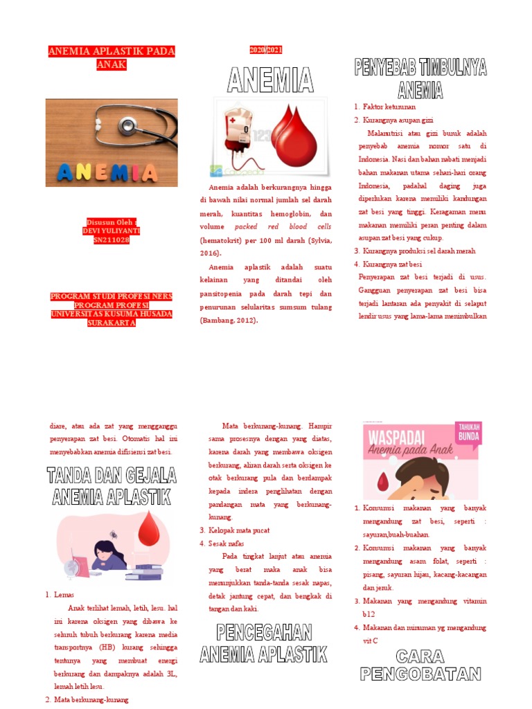 Leaflet Anemia | PDF
