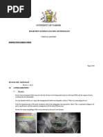 How To Use The FYI Flags | PDF | Patient | Blood Transfusion