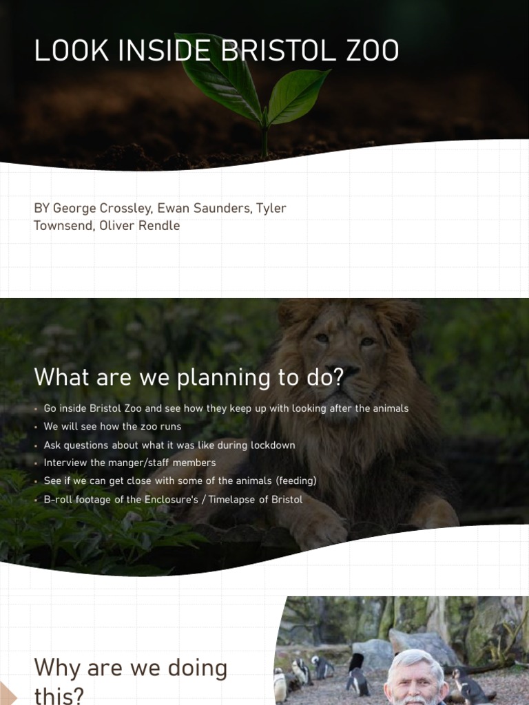 Look Inside Bristol Zoo: BY George Crossley, Ewan Saunders, Tyler ...