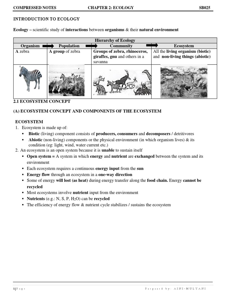 2 Compressed Notes Ecology | PDF | Food Web | Ecology