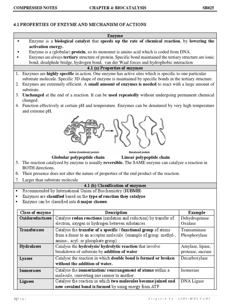 Enzymes Are Always: Compressed Notes Chapter 4: Biocatalysis Sb025 ...