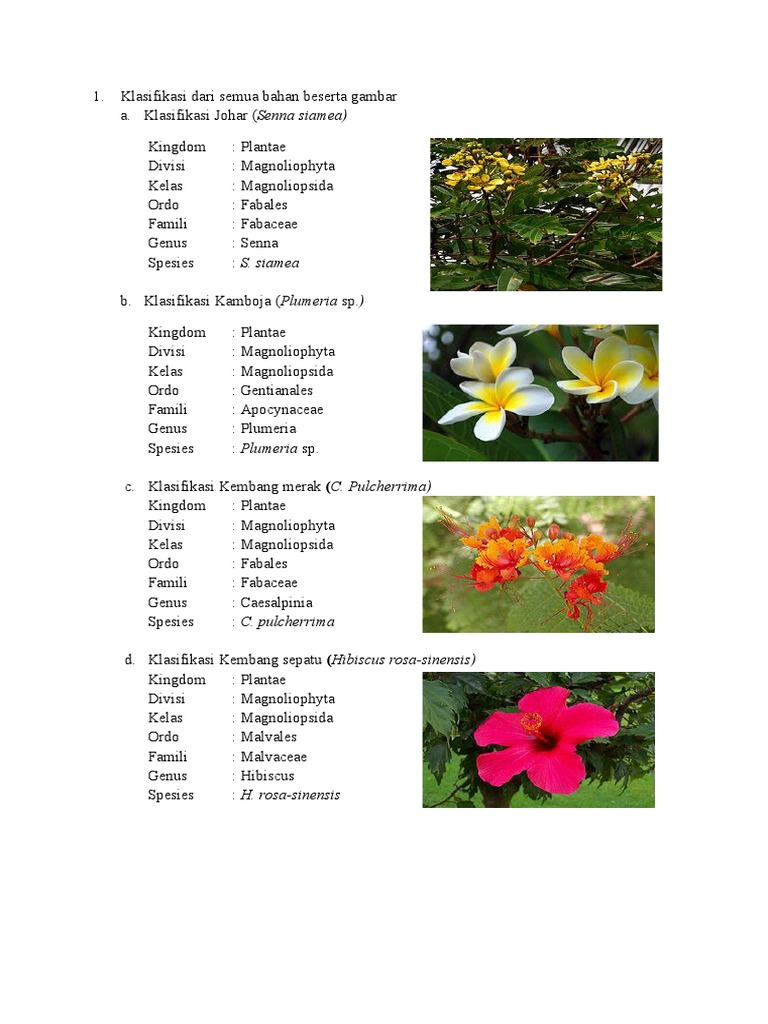 Klasifikasi Dari Semua Bahan Beserta Gambar | PDF