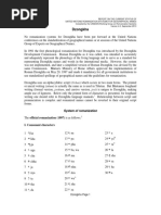 Romanization System For Burmese: Consonant Characters | PDF | Syllable ...