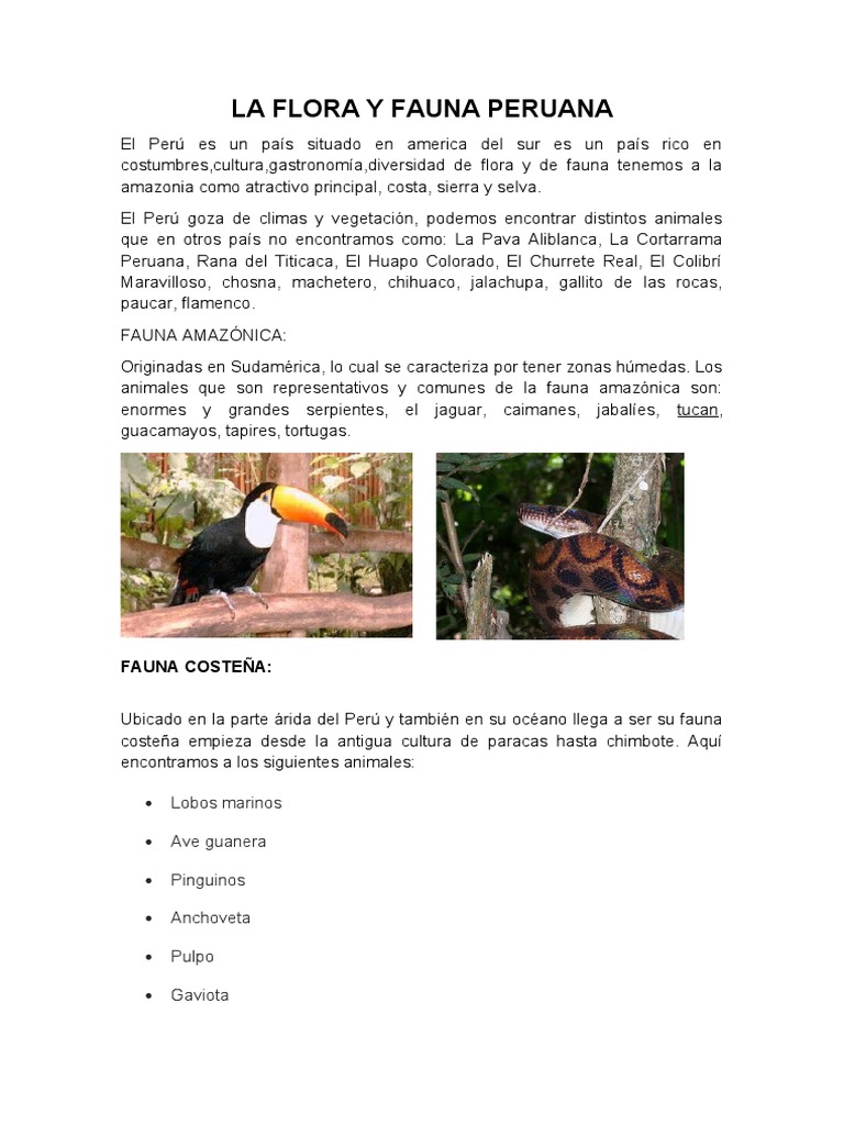 La Flora y Fauna Peruana | PDF | Perú | Selva amazónica