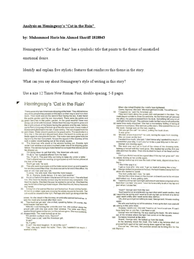 Analyzing Hemingway's "Cat in the Rain" | PDF | Verb | Noun